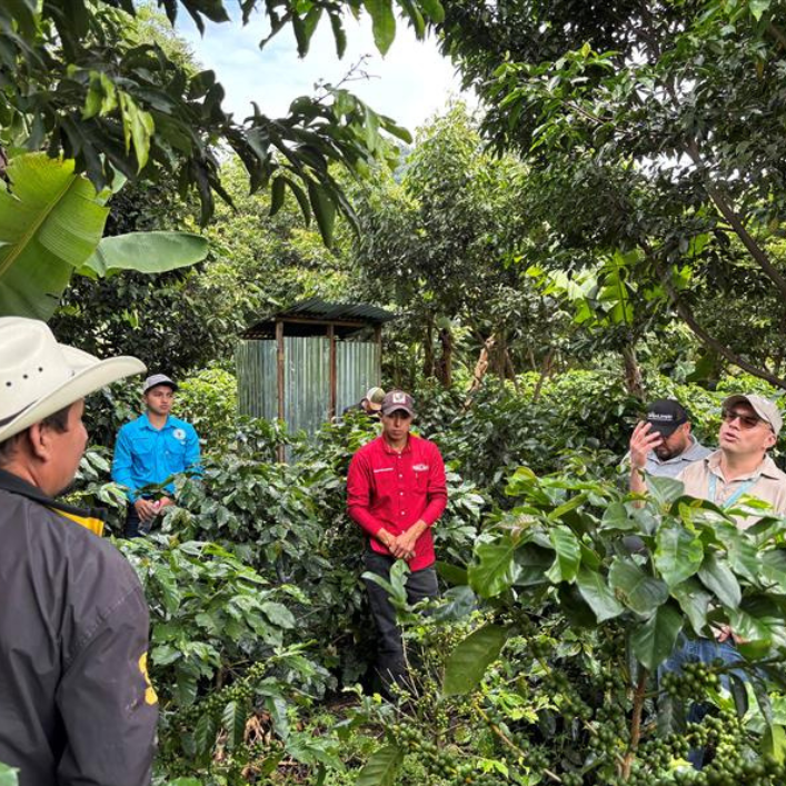 Generations Programme Honduras | Julius Meinl